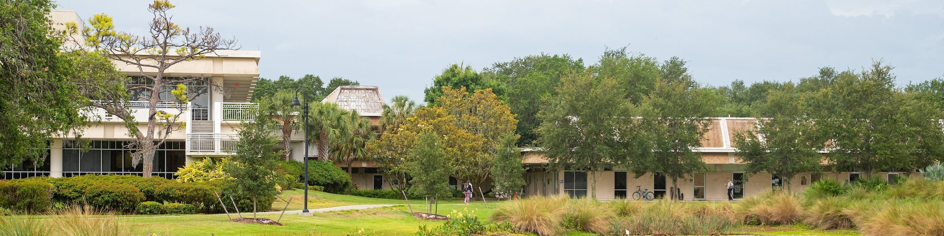 Eckerd College showing a garden and a pond