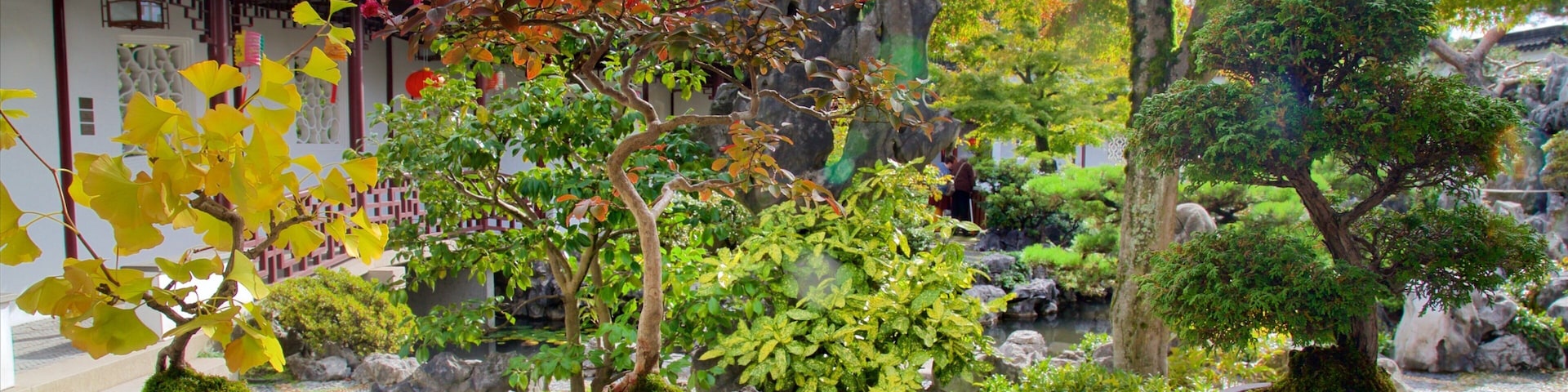 Dr. Sun Yat-Sen Classical Chinese Garden showing a park