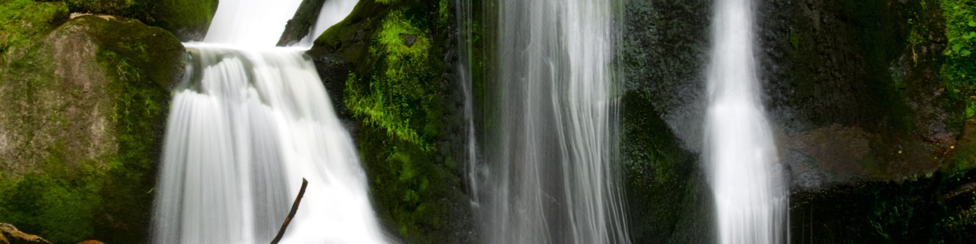 Triberg im Schwarzwald showing a cascade