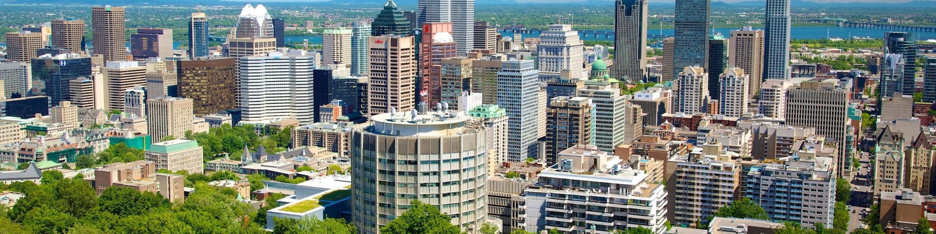 Mount Royal Park featuring landscape views, a city and a high rise building