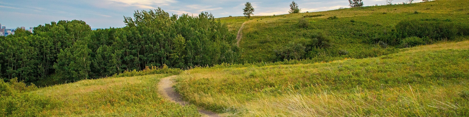 Nose Hill Park which includes tranquil scenes, landscape views and a sunset