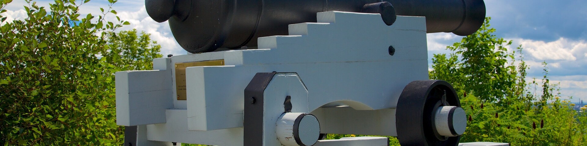 Battlefields Park featuring a city, a park and military items