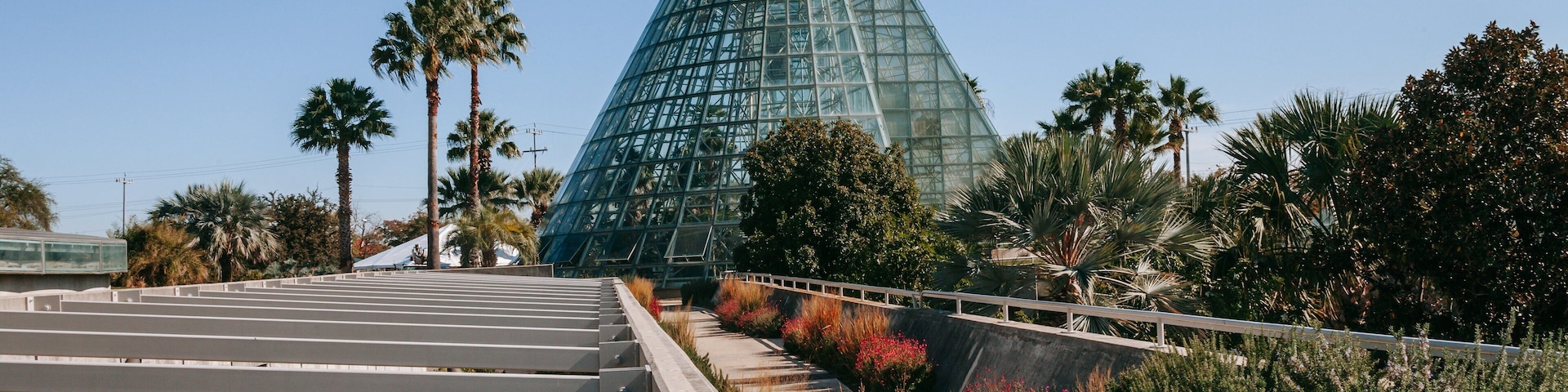 San Antonio Botanical Gardens featuring a park
