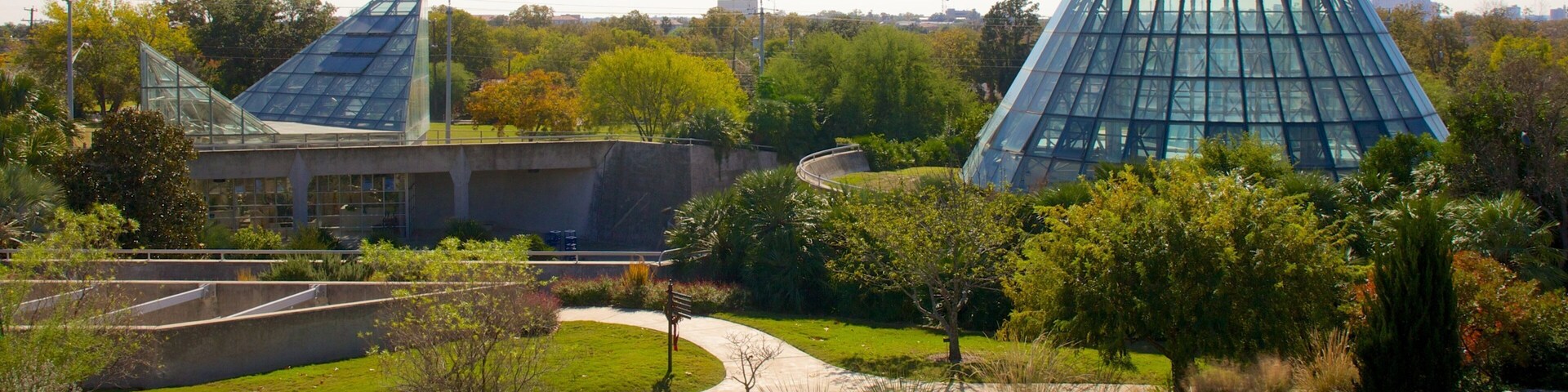 San Antonio Botanical Gardens que inclui um jardim e arquitetura moderna