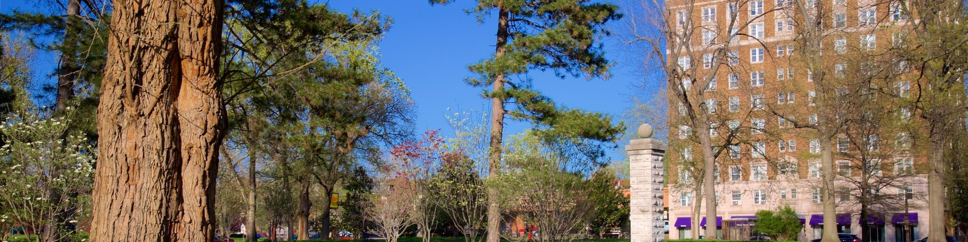 Tower Grove Park caracterizando flores silvestres