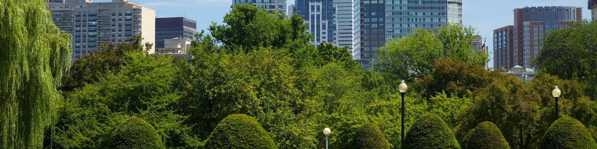 Boston Common mostrando flores, um arranha-céu e um parque