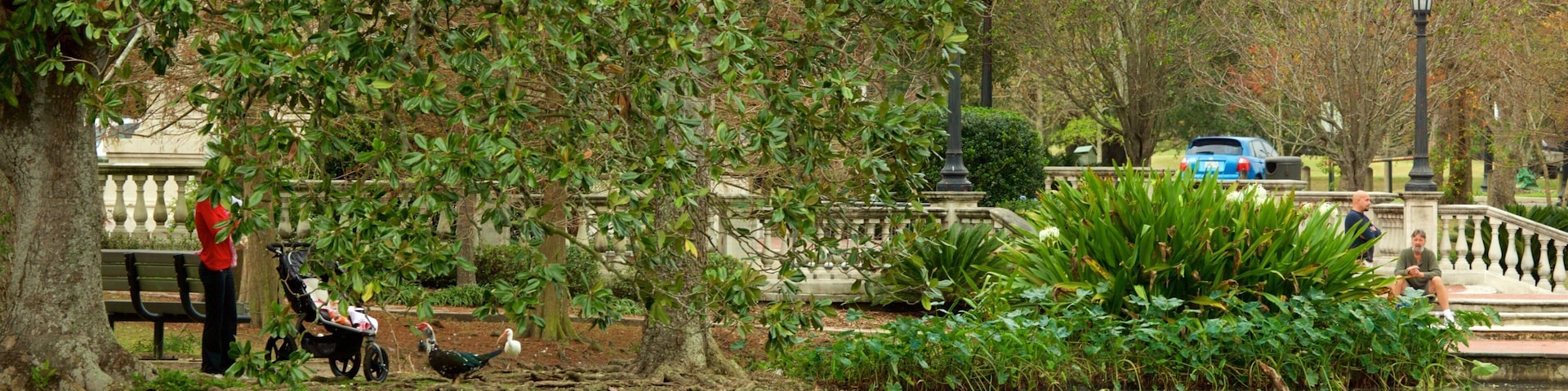 Audubon Park showing a garden and a pond
