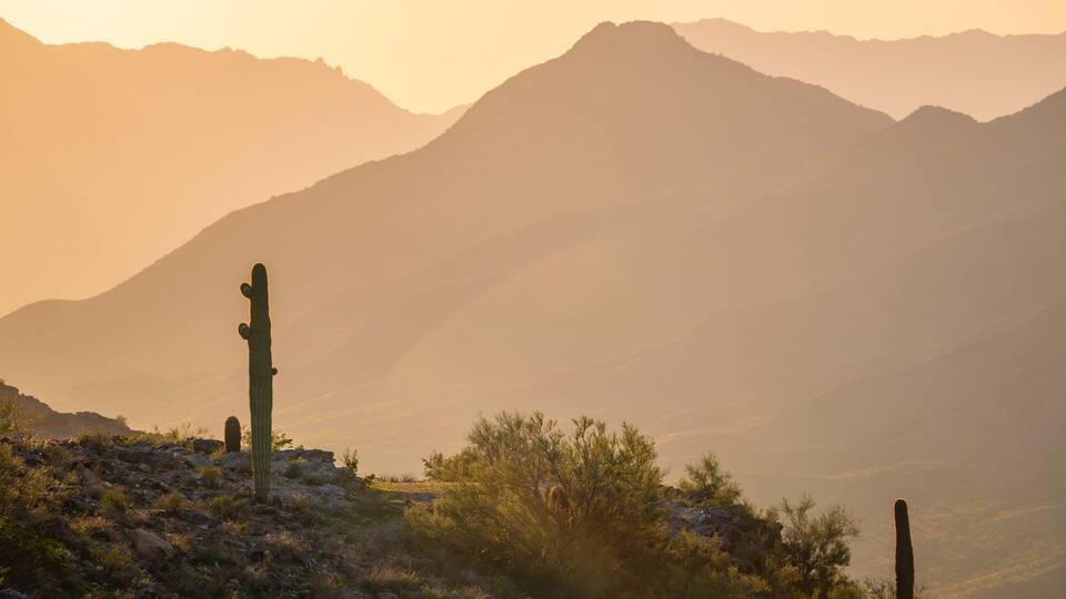 South Mountain Park which includes desert views, a sunset and mountains