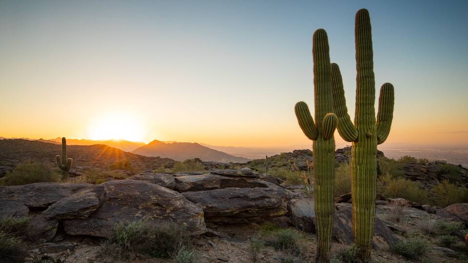 South Mountain Park featuring desert views and a sunset