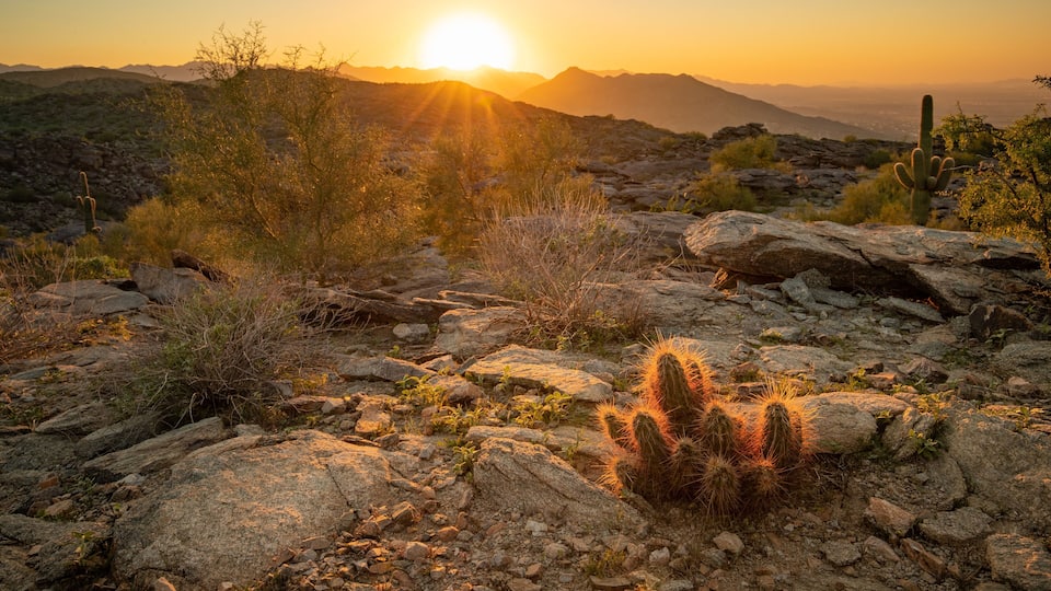 South Mountain Park featuring desert views and a sunset