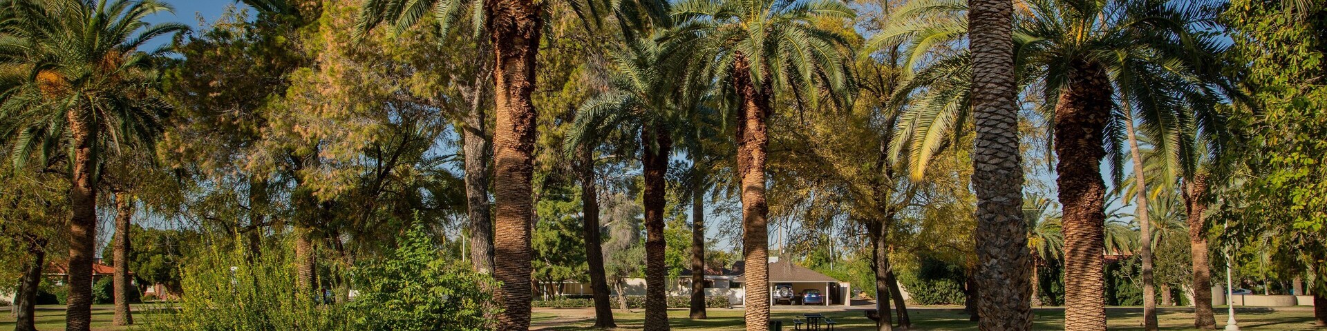Encanto Park which includes a garden