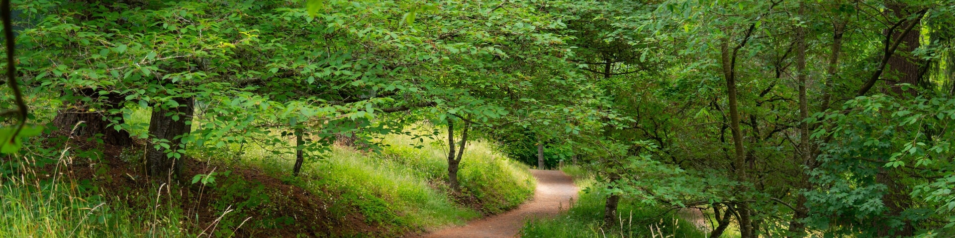 Washington Park which includes a park