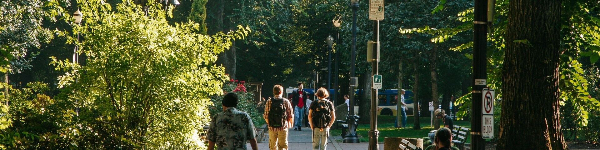 South Park Blocks showing a garden and street scenes