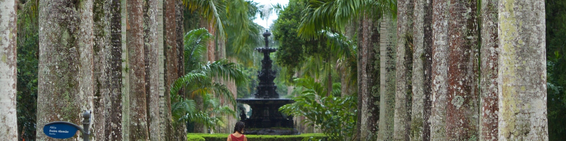 Jardim Botânico mostrando um jardim