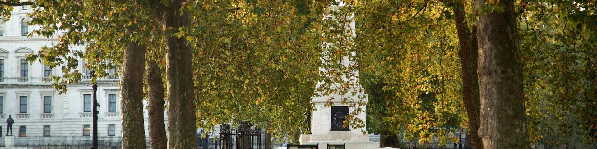 St. James Park featuring hiking or walking, autumn leaves and a garden