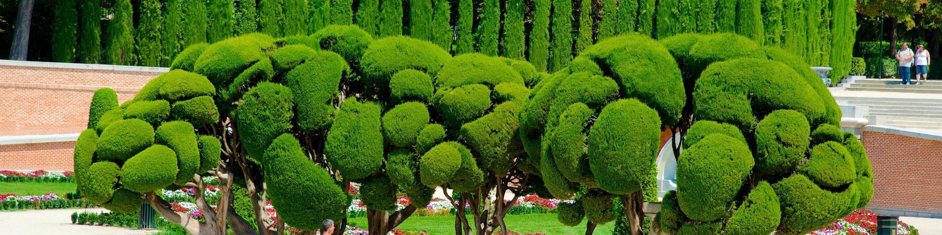 El Retiro Park which includes a park