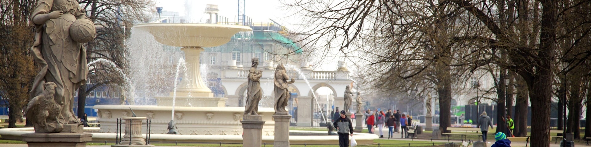 Saxon Gardens mostrando uma fonte e uma estátua ou escultura