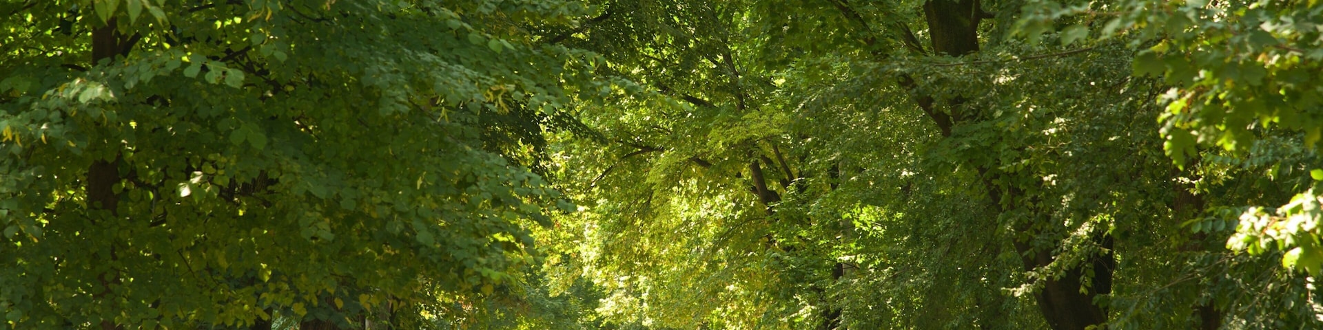 Indro Montanelli Public Gardens showing a park as well as a couple