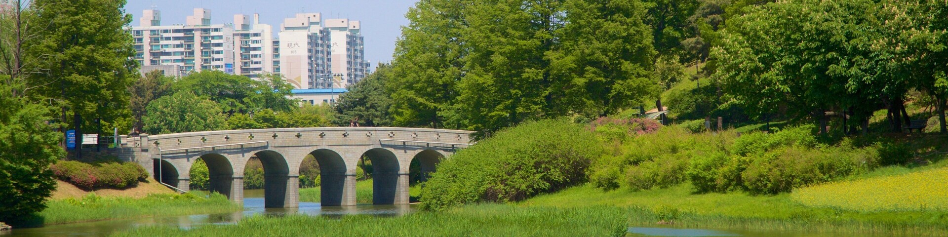 Parque Olímpico que inclui uma ponte, um rio ou córrego e uma cidade