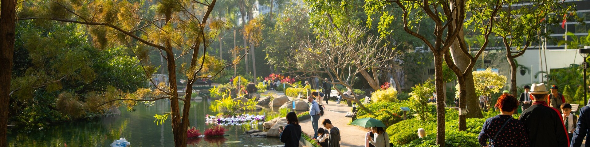 Hong Kong Park which includes a pond and a park