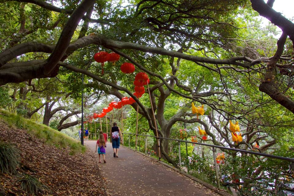 Uma trilha em um parque com lanternas vermelhas e amarelas penduradas nas árvores.