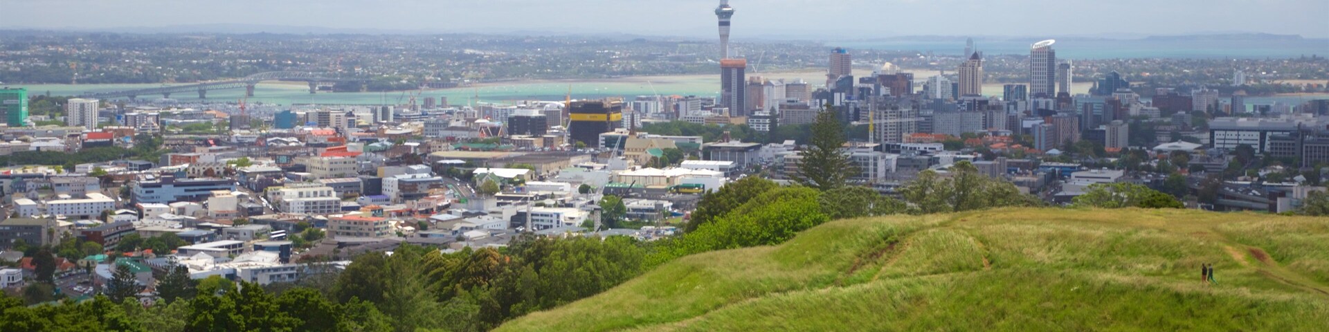 Mt. Eden featuring landscape views and a city