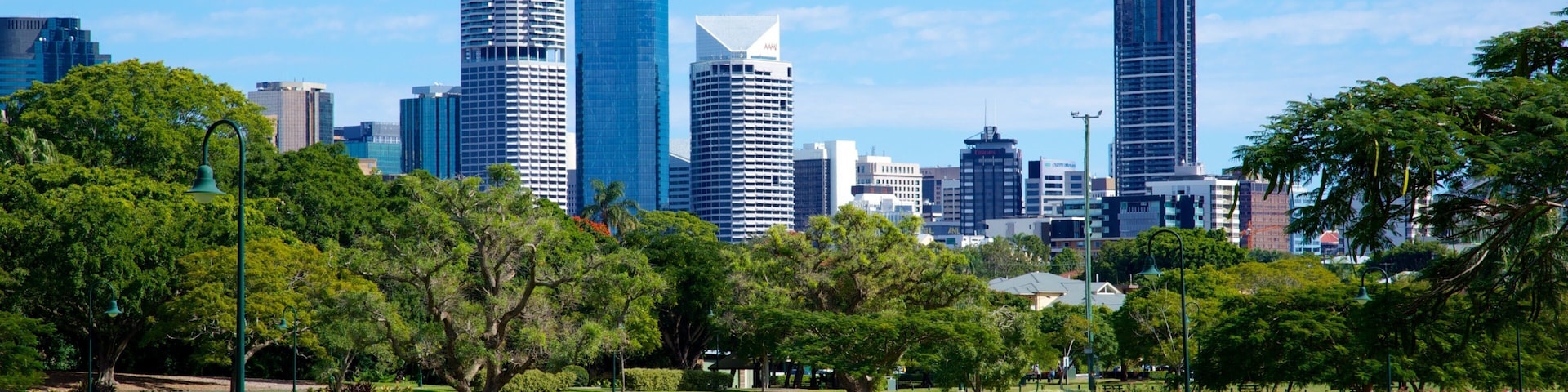 New Farm que inclui um edifício, uma cidade e um parque