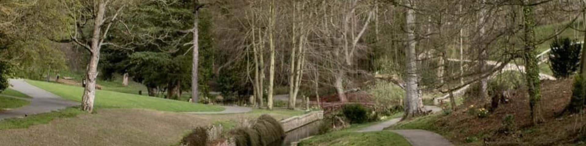 Lovely morning walk in local park that don't even know existed