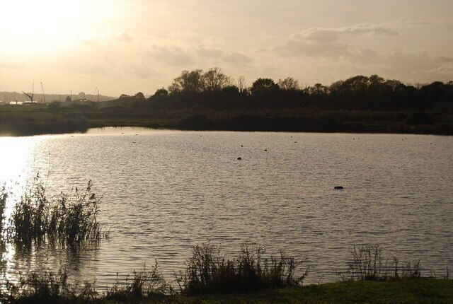 Um lago tranquilo com algumas aves, rodeado por árvores e uma linha de costa distante.