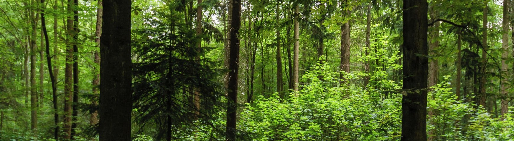 This is a picture of the protected area listed at WDPA under the ID