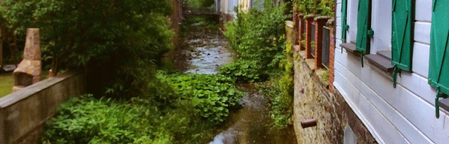 The historic town Langenberg, built on the hillside offers a picturesque view of winding streets and beautiful half-timbered houses.