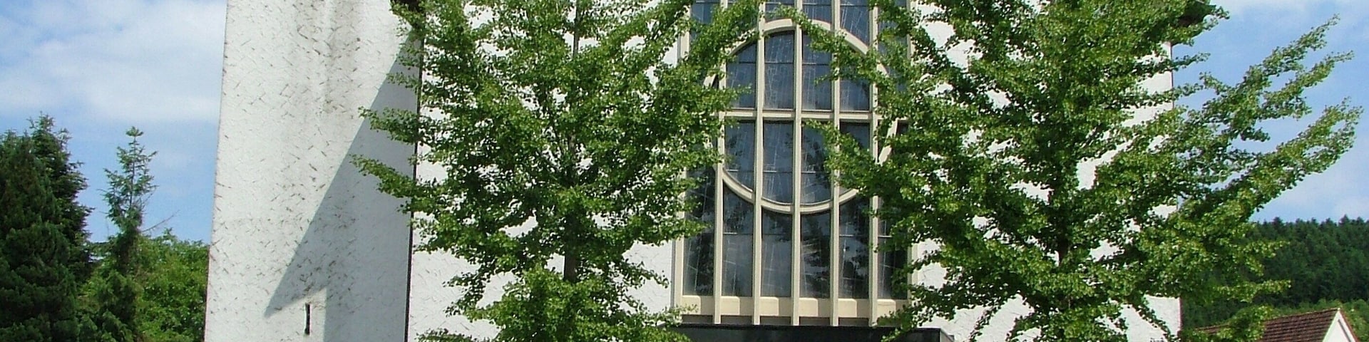 Zwei Ginkgobäume vor der Kirche