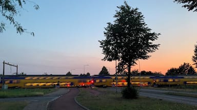 Um trem amarelo em trilhos, com um semáforo vermelho, uma árvore e um caminho pavimentado.