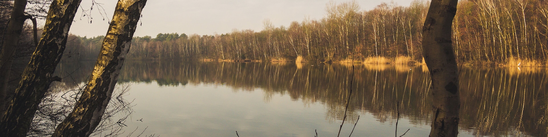 Heidhofsee ob a winter morning.