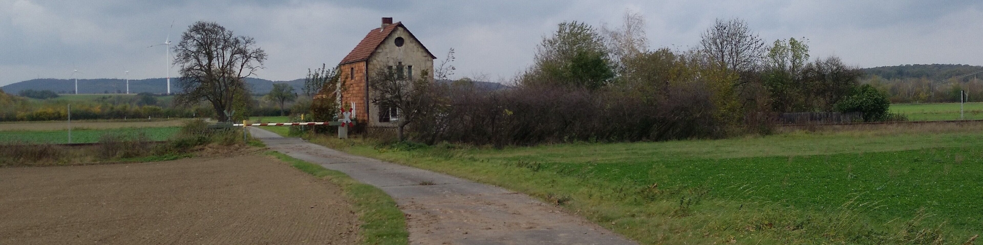 The Steinfeld (Stonefield) near Harlingerode at the approximate position of the lost village Döringerode.