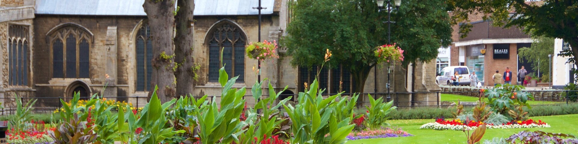 Wisbech featuring flowers and a garden