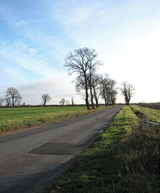 Uma estrada rural ladeada por árvores e campos sob um céu limpo.