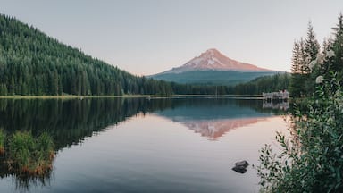 Um lago tranquilo com uma montanha arborizada ao fundo.