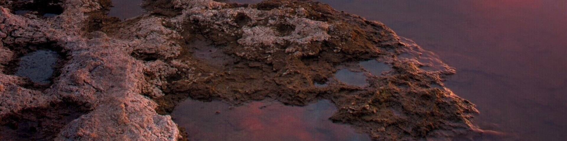 A lack of recent rainfall exposed this clay bank along Wright Patman Lake in Bowie County, Texas. Beginning in 800 a.d., Caddo Indians used clay from this region to make their famous pottery. The earthenware pots were made by hand and fired in an open fire. Impurities in the clay had to be removed by hand or sieved out before making fine pottery.
#bvstrove #texas #travel #history #water #sunset #etx