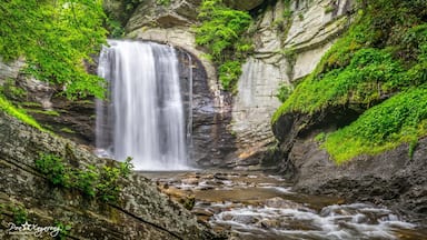 Uma cascata desce por um penhasco rochoso, cercada por vegetação exuberante.