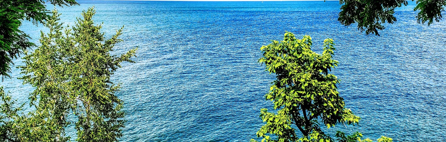 Paisagem costeira com calçada pavimentada, vegetação densa e vista para o mar.