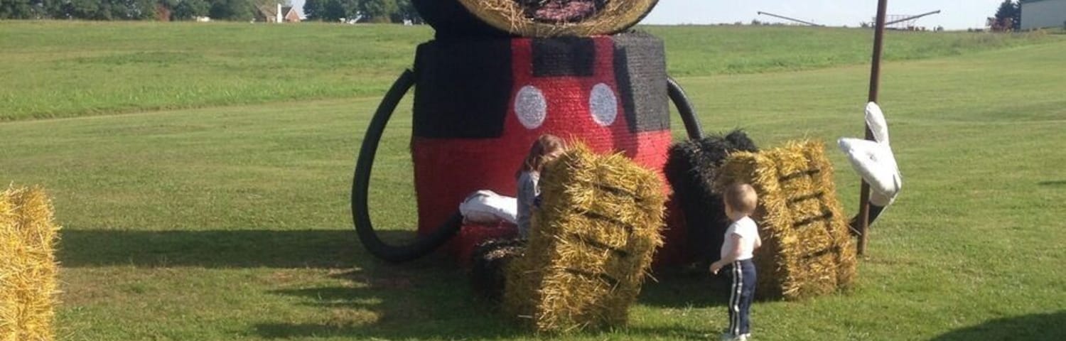 Farm near Youngstown , Ohio