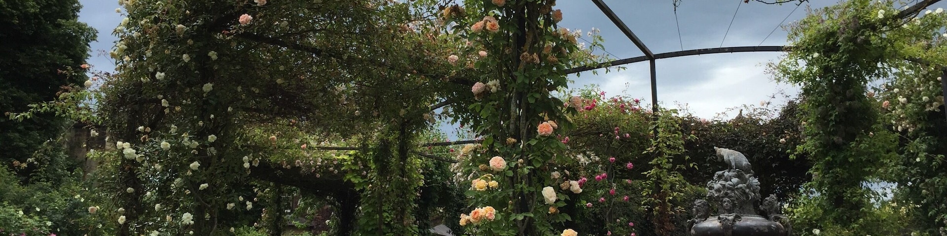 Roses of Alnwick Garden