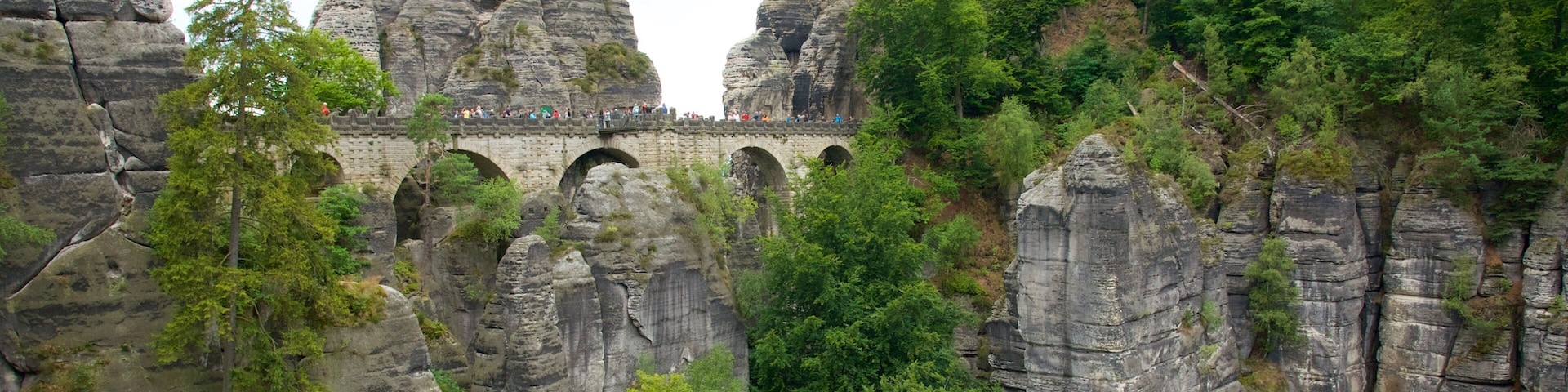 Bad Schandau showing a bridge