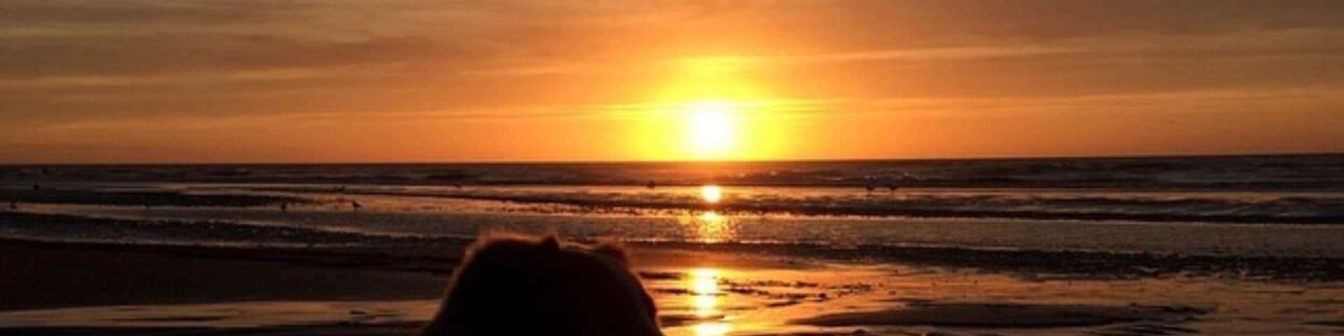 Sunset 🌅