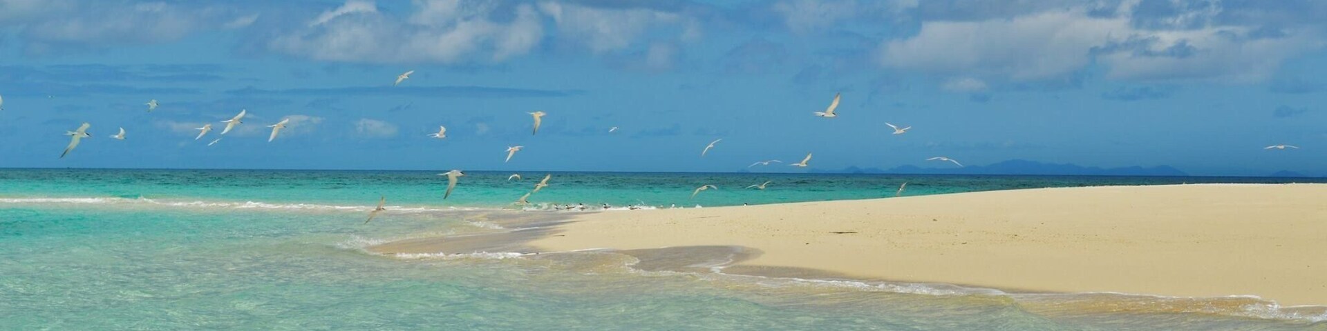 A little corner of paradise on the largest island in the Great Barrier Reef