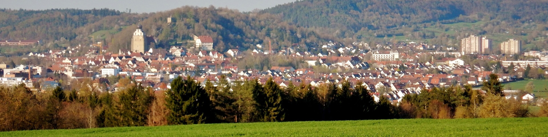 Blick auf Schlossberg und Stiftskirche in Herrenberg