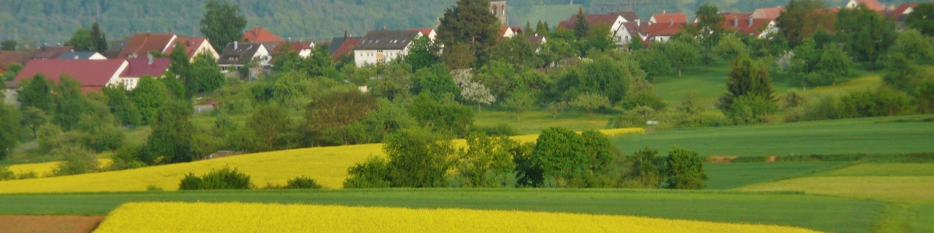 Oberjesingen