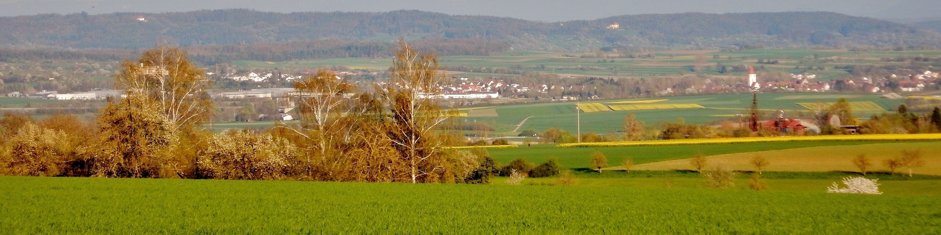 Blick zum Schönbuchrand