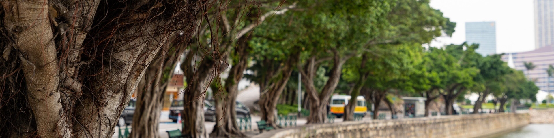Avenida da República showing a river or creek and a garden